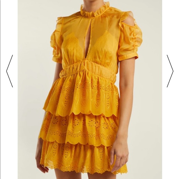 Self-Portrait | Dresses | Nwt Self Portrait Embroidered Tiered Mini ...